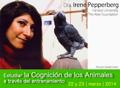 La cognición de los animales - EDUCAN